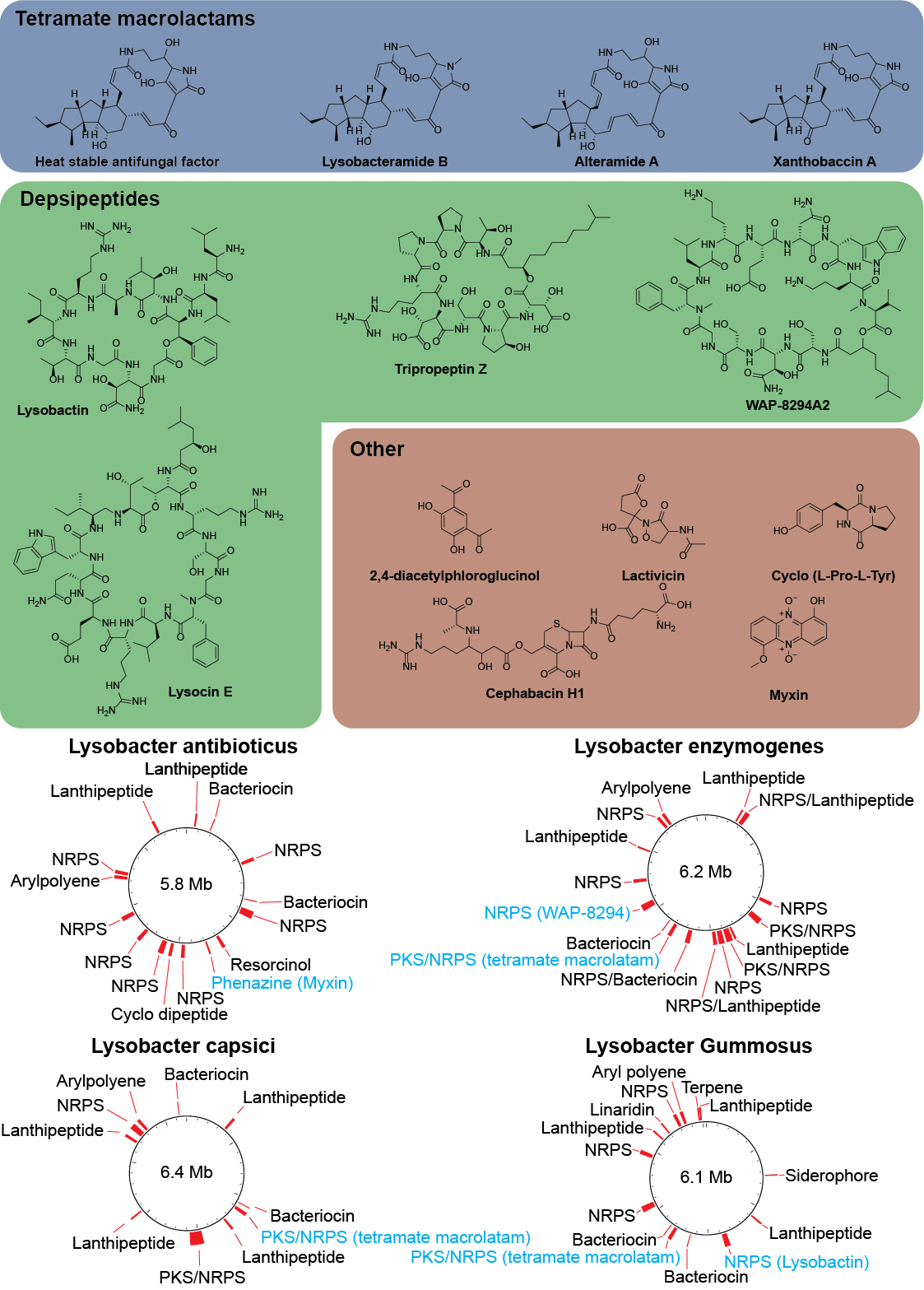 Research – M.C. Walker Lab @ UNM